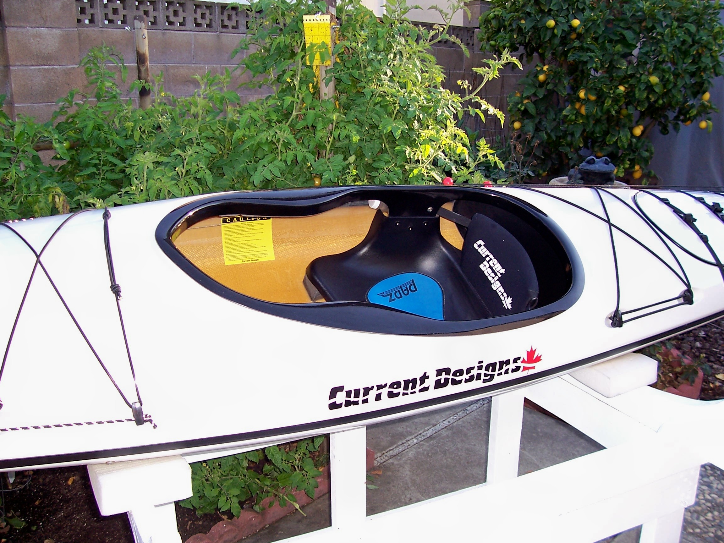 Print Photos | View Full-Size Image